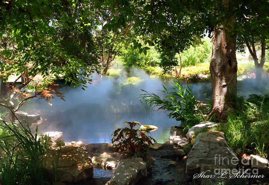 Garden Mist Photograph by Shar Schermer - Fine Art America