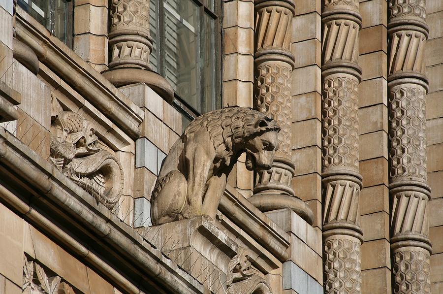 Gargoyle Photograph by Mo Barton - Fine Art America