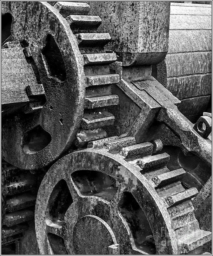 Geared Up Photograph by Robert Winch - Fine Art America