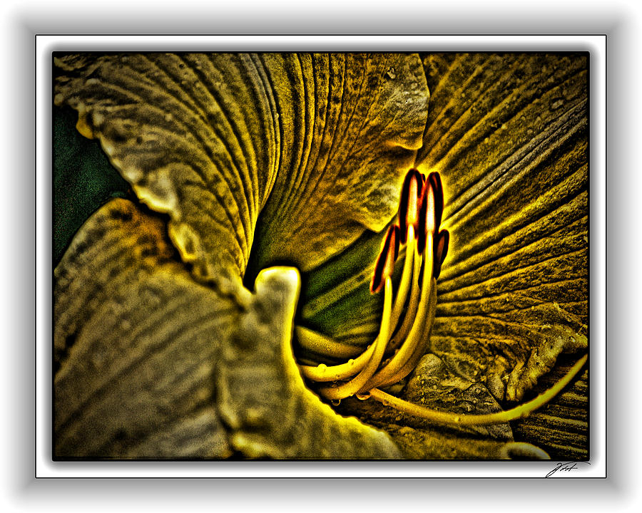 General Lee Photograph by Thomas Fields - Fine Art America