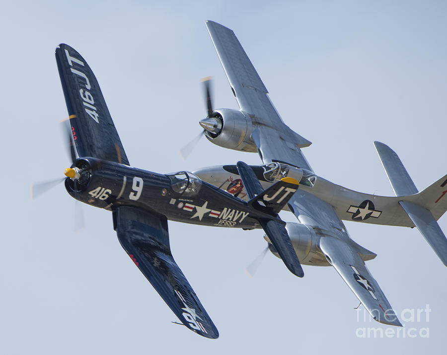 Getting Close Photograph by Michael R Erwine - Fine Art America