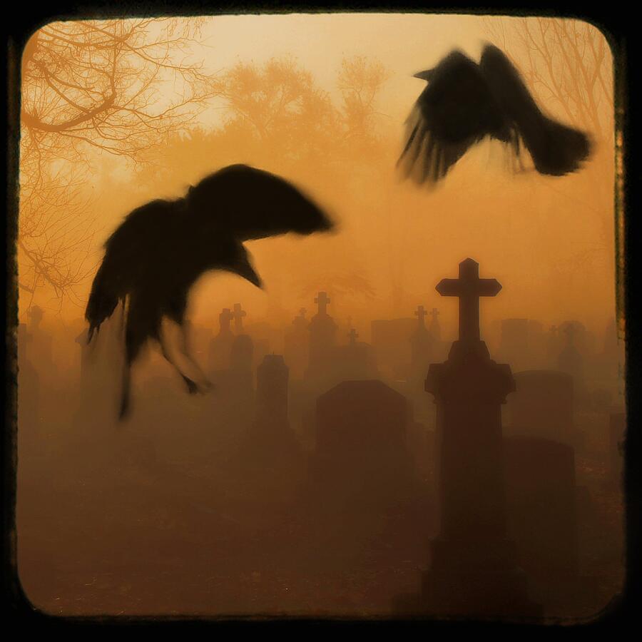 Ghostly Crows Photograph by Gothicrow Images | Fine Art America