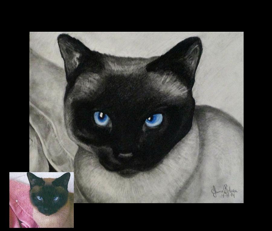 Ginger Drawing by Jaime Bolanos - Fine Art America