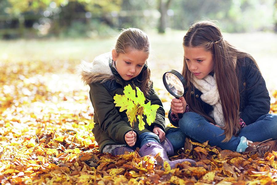 Girls Collecting Leaves Photograph by Science Photo Library Girls Collecting Leaves Photograph by Science Photo Library