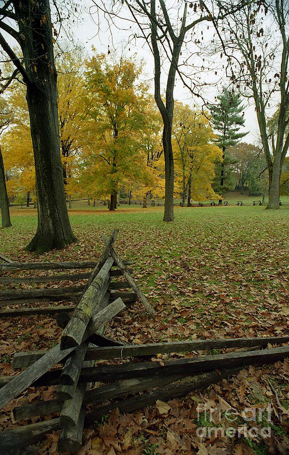 Glorious Fall Photograph by Skip Willits | Fine Art America