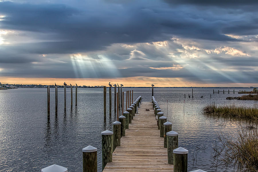Glorious Sight Photograph by Brian Wright - Fine Art America