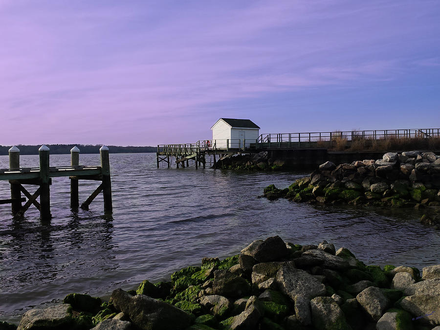 Gloucester Point Photograph by Nancy Comley