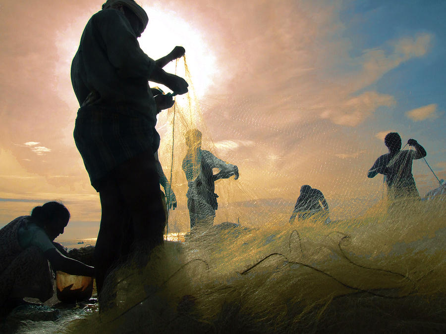 Golden catch Photograph by Backyard Civilization - Fine Art America