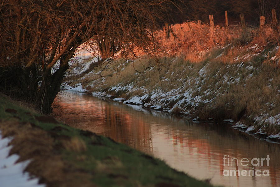 Golden Light in the Noon Photograph by Four Hands Art - Fine Art America