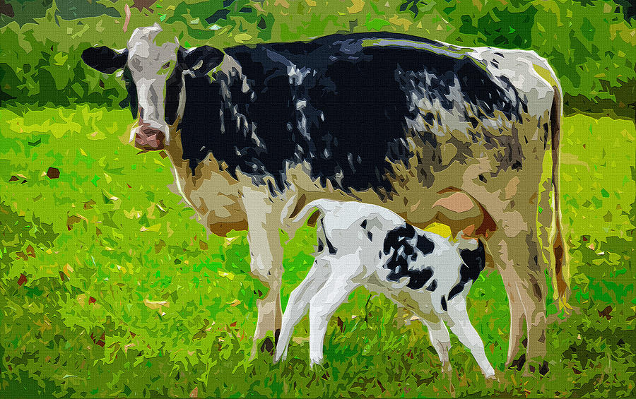 Moo Mom Digital Art by Brian Stevens - Fine Art America