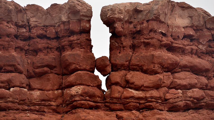 Gotcha Photograph by Samip Shah - Fine Art America