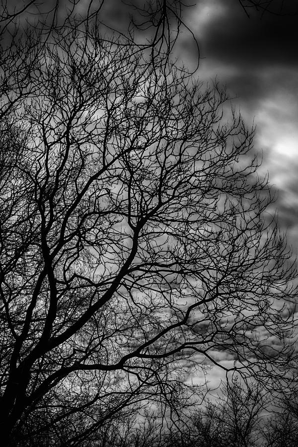 Gothic Sky 2 Photograph by Robert Ullmann | Fine Art America