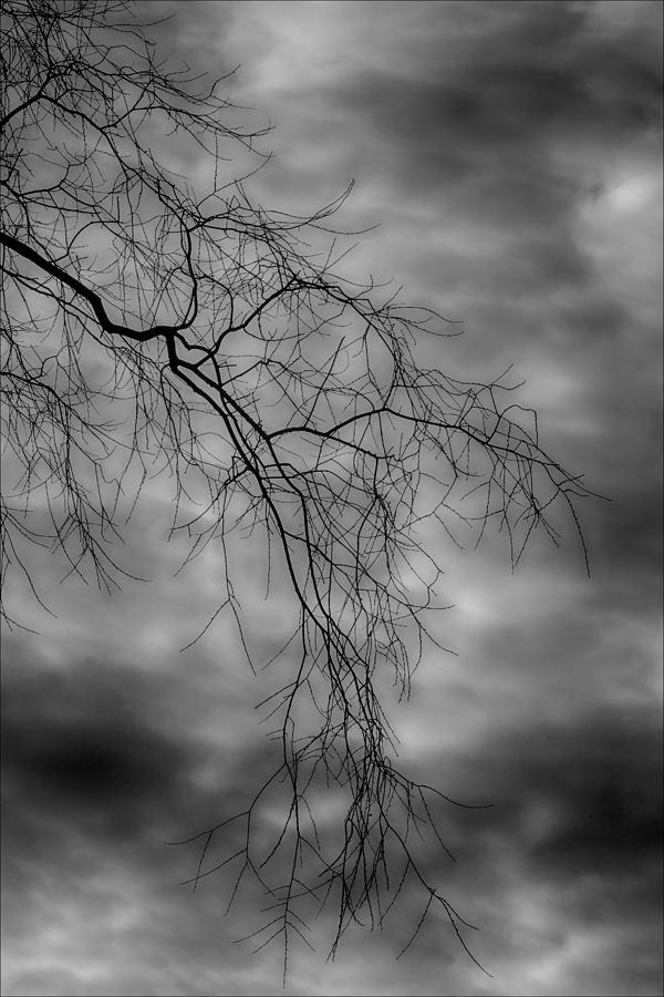 Gothic Sky Gothic Night 🦇, Ib: @clemens.blanz