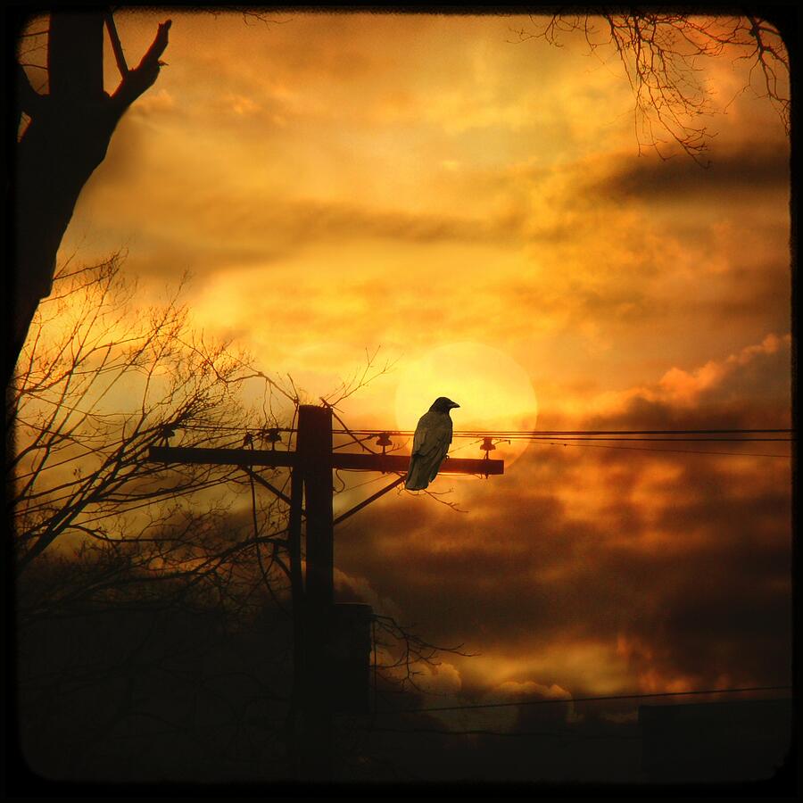 Gothic Sunset Photograph by Gothicrow Images - Fine Art America