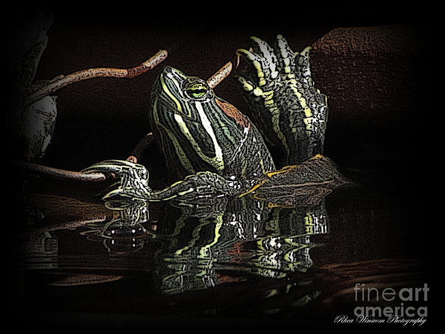Gothic Turtle Photograph by Rhea Winscom | Pixels