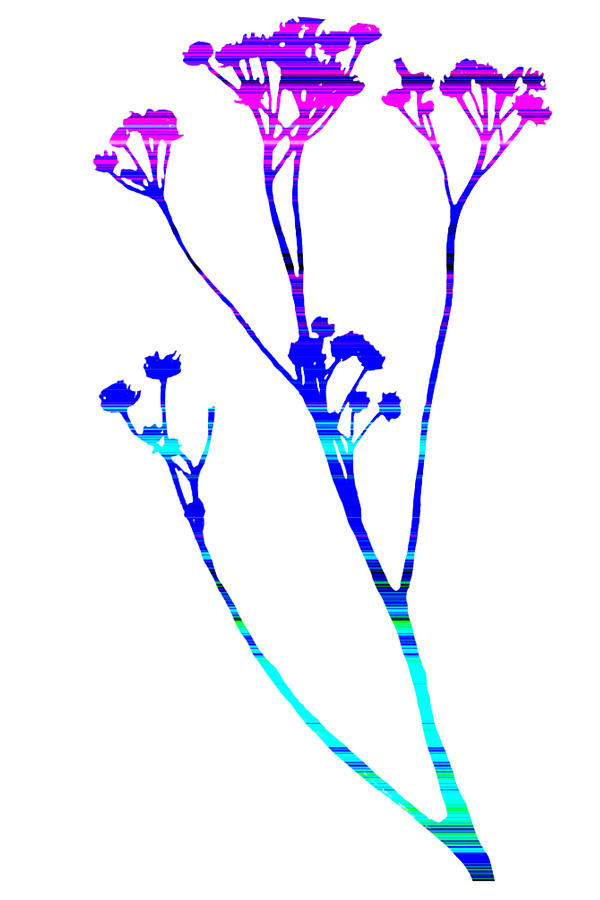 Gradient Flowers Digital Art by Lesley DeHaan - Fine Art America