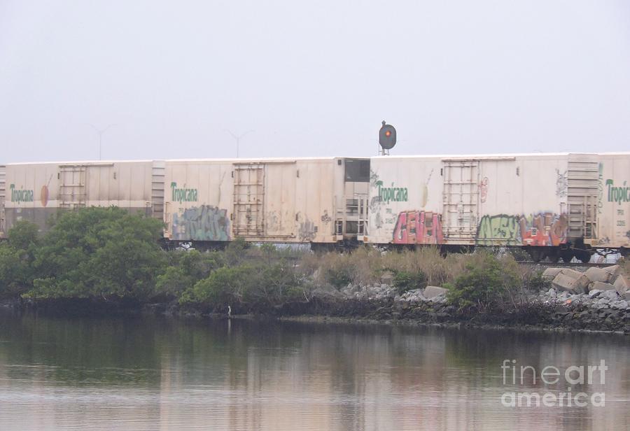 Graffiti Photograph by Beth Williams - Fine Art America