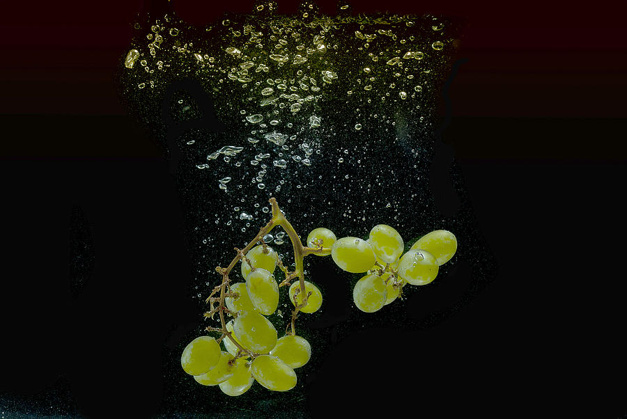 Grape Bubbles Photograph by Mark Stewart - Fine Art America