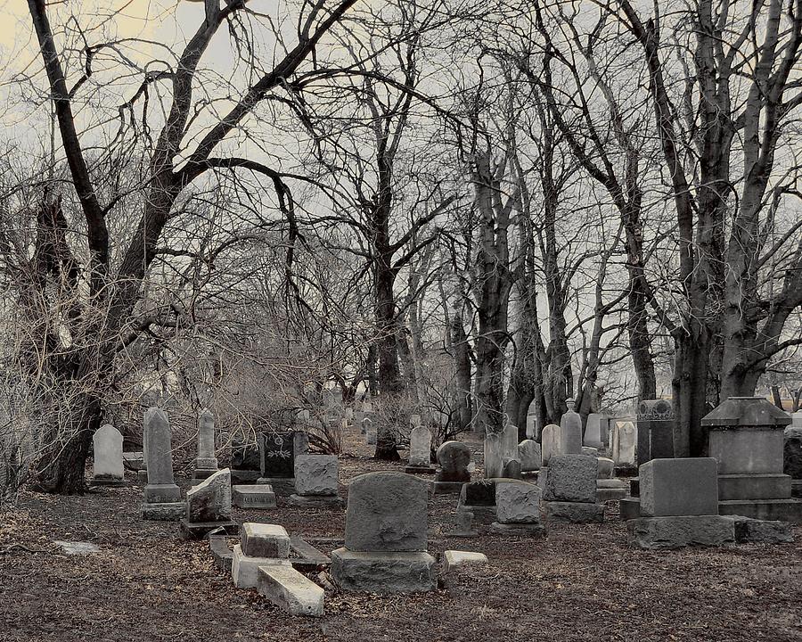 Gray Graveyard Trees Photograph by Gothicrow Images - Fine Art America