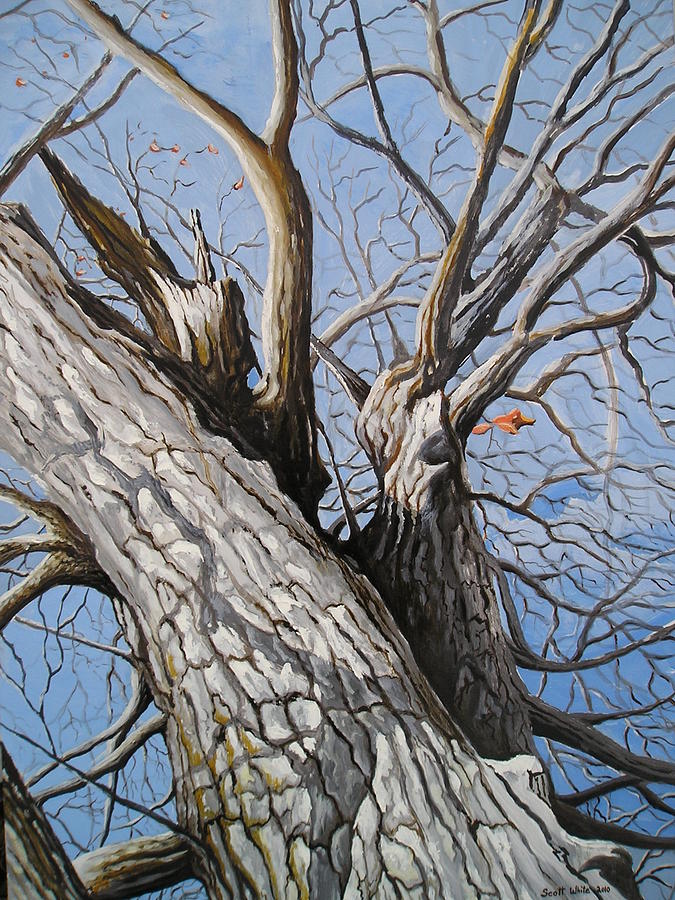 Gray Tree Painting by Scott White - Pixels