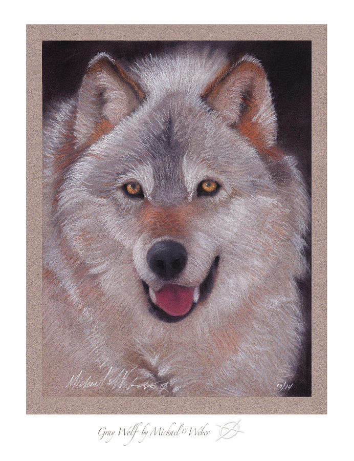 Gray Wolf Pastel by Michael Weber - Fine Art America