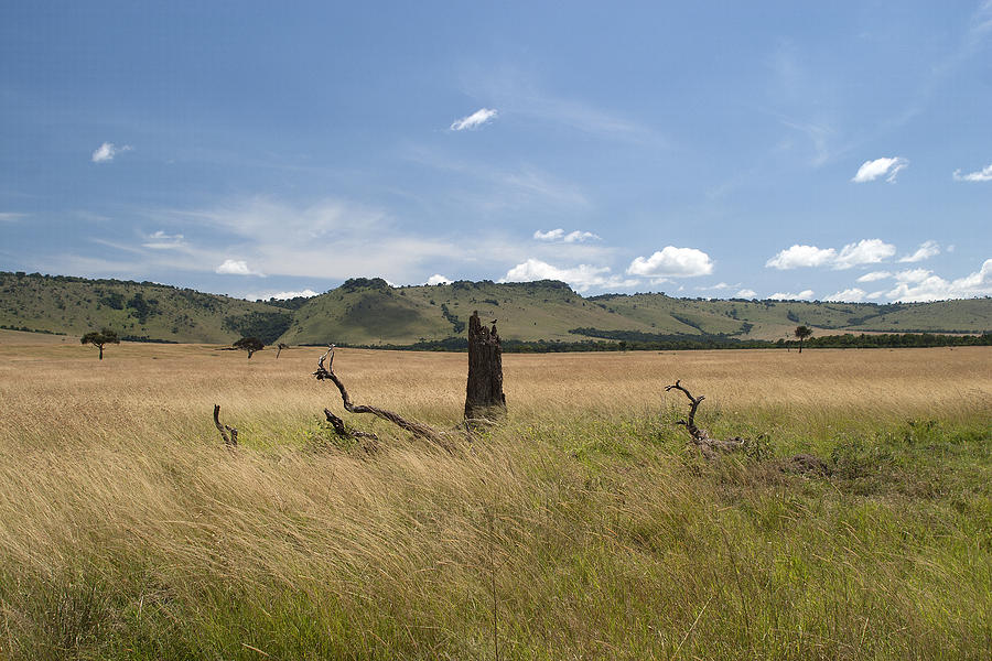 Great Rift Valley Photograph by Michael Bowman - Fine Art America