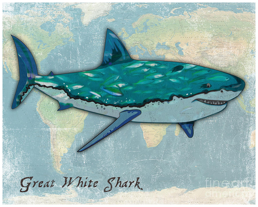 Great White Shark Digital Art by Cheryl Marie - Fine Art America