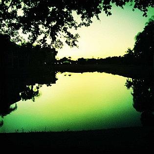 Green Evening Photograph by Beth Williams - Fine Art America