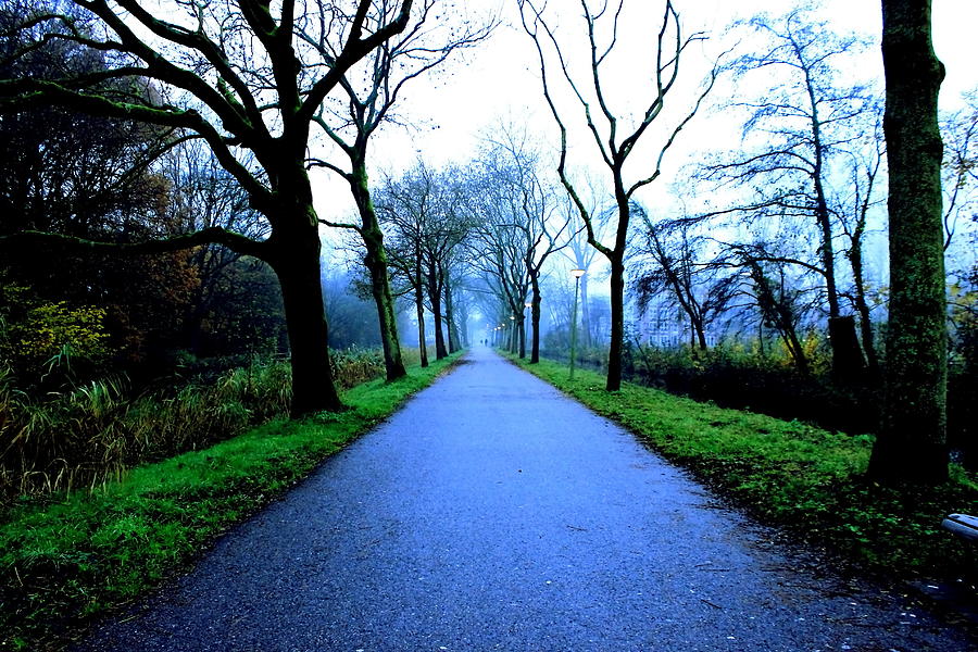 Green path Photograph by Simon Train - Fine Art America