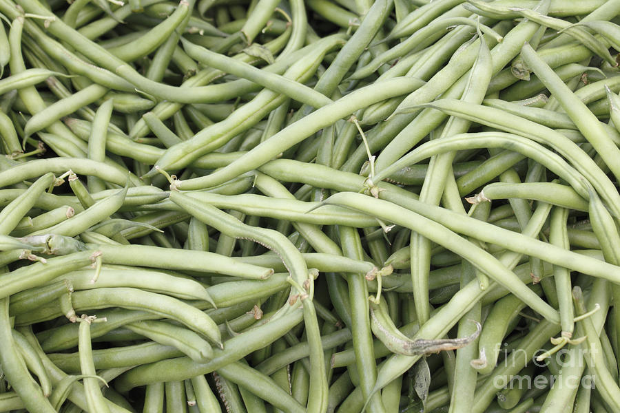 Green String Beans Display Photograph by Lee Serenethos | Fine Art America