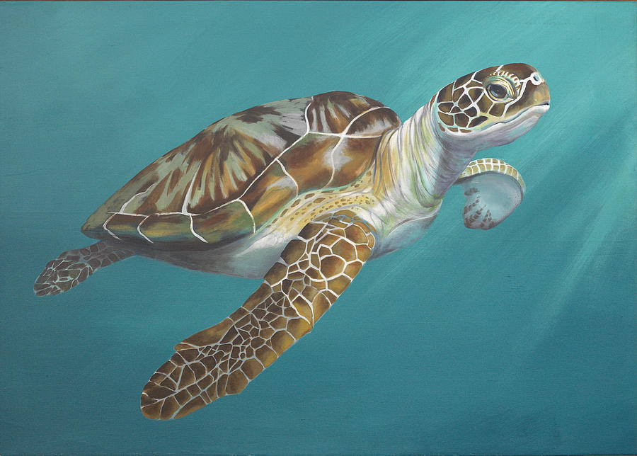 Green Turtle Painting by Jeanette Schuerr - Pixels