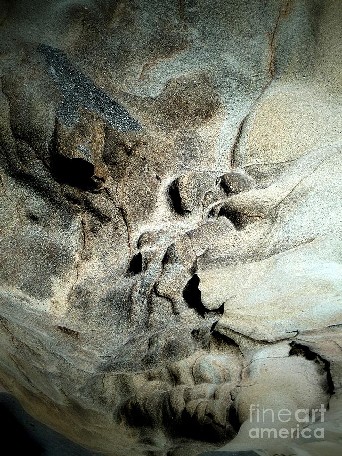 Grotesque Photograph by Newel Hunter - Pixels