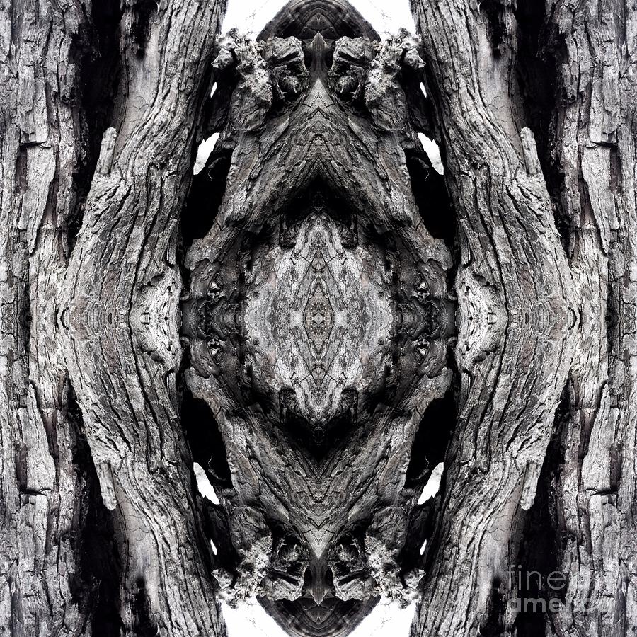 Growing reflections Photograph by Shane B - Pixels