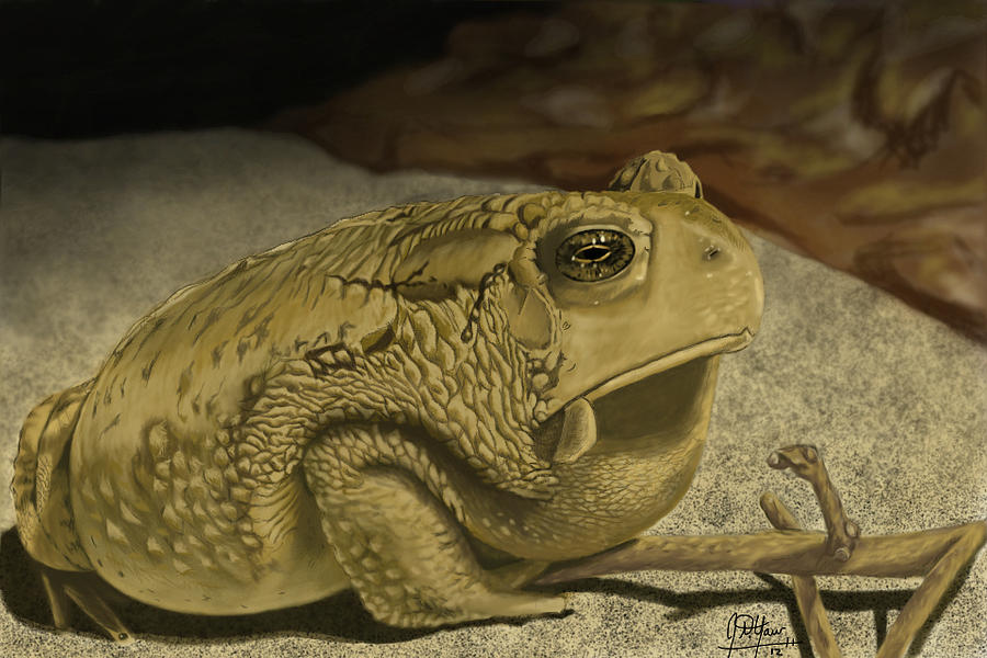 Grumpy Frog Digital Art by Jason Yaw