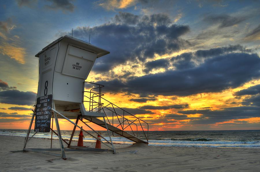 Guarding Pompano Photograph by William Teed - Fine Art America