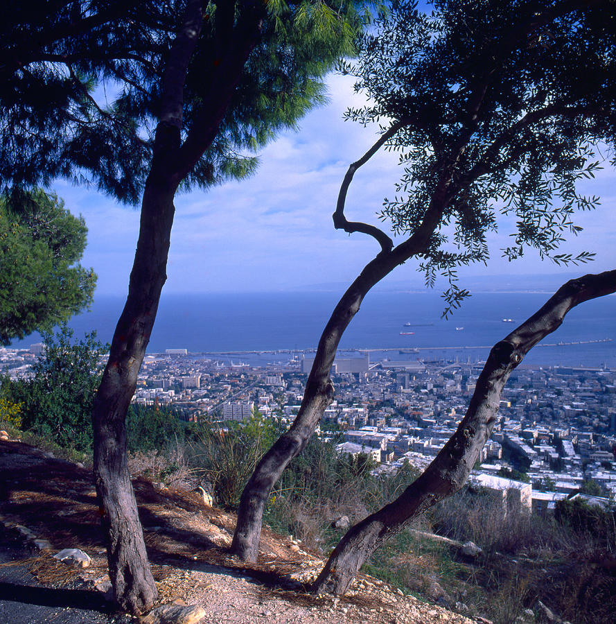 Haifa View Photograph by Daniel Blatt - Pixels