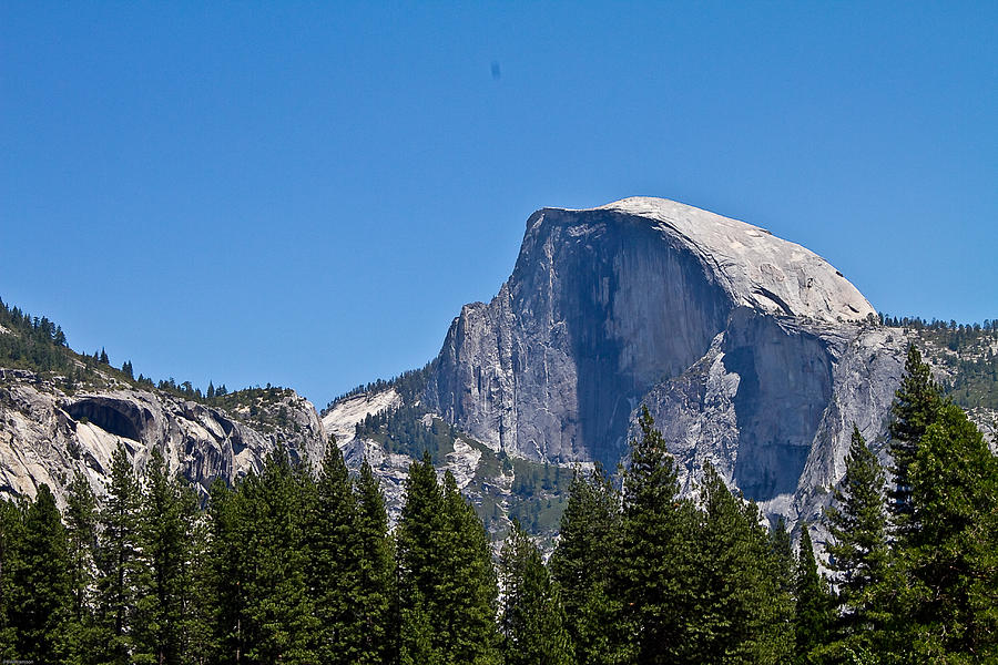 Half Dome Photograph by Brian Williamson | Fine Art America