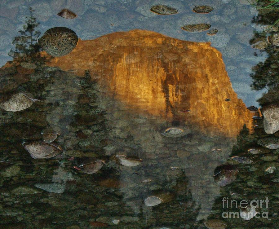 Half Dome Reflection Photograph by John Groeneveld - Fine Art America