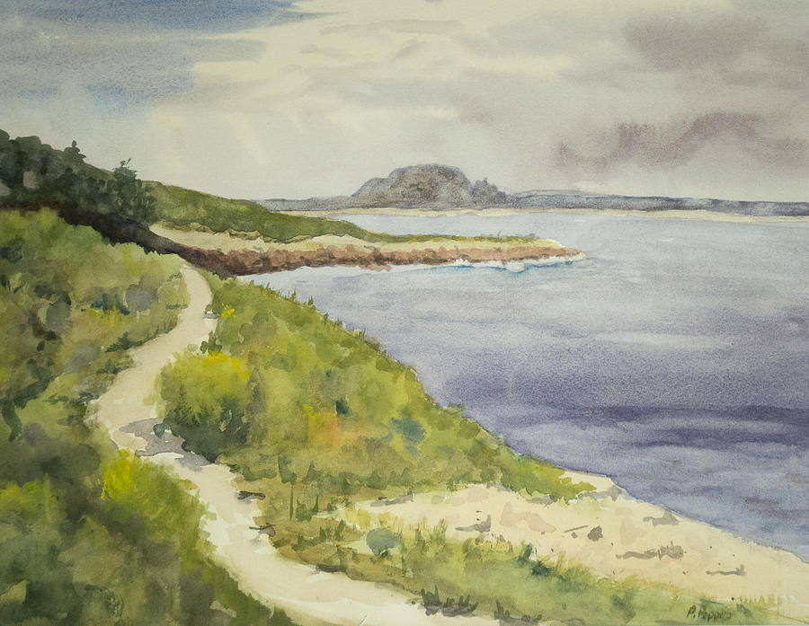 Halibut Point Path Painting by Peggy Poppe - Fine Art America