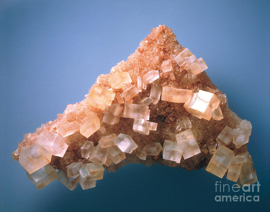 Halite Photograph by Hermann Eisenbeiss - Fine Art America