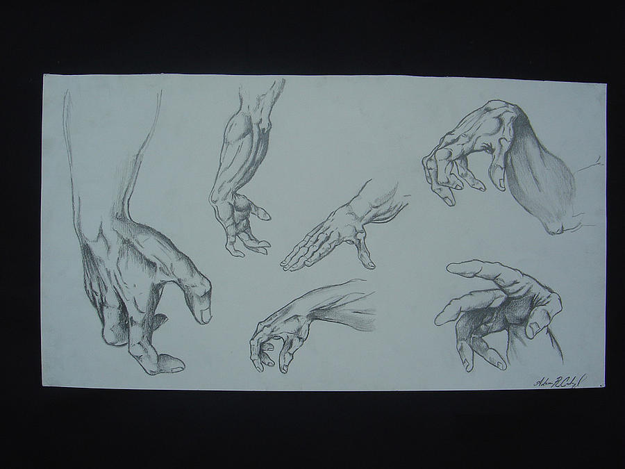 Hand Study Drawing by Adrian Carbajal - Fine Art America