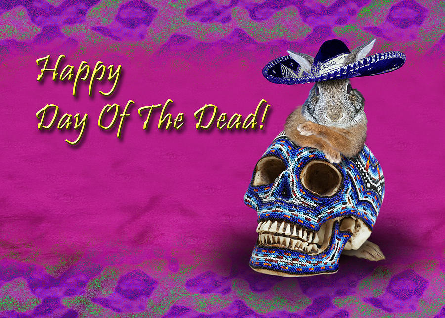 Happy Day of the Dead Bunny Rabbit Photograph by Jeanette K - Fine Art ...