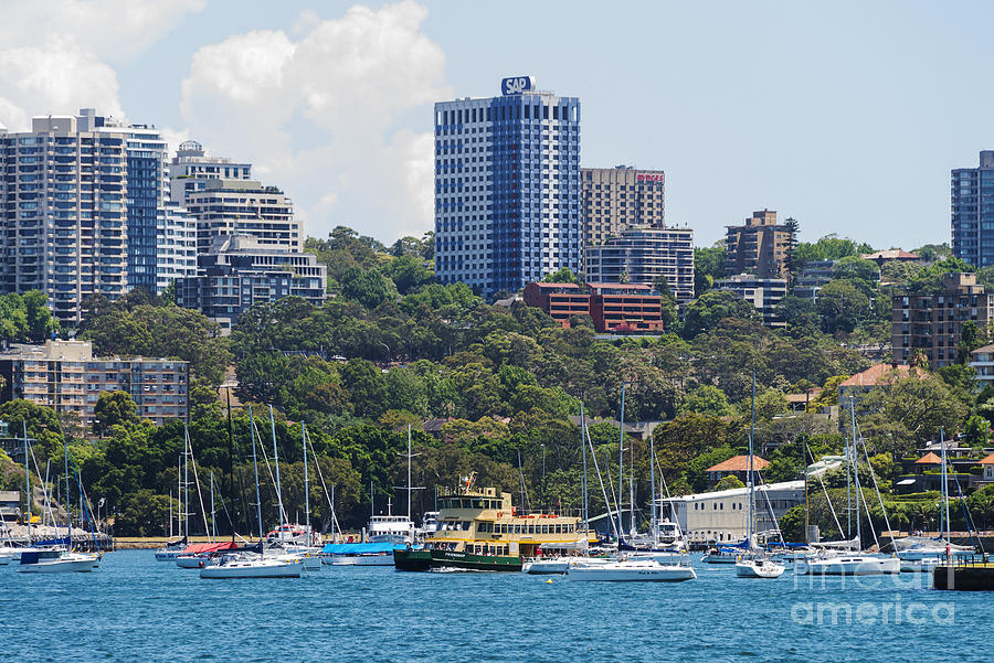 Harbour View Five Photograph by Bob Phillips | Pixels