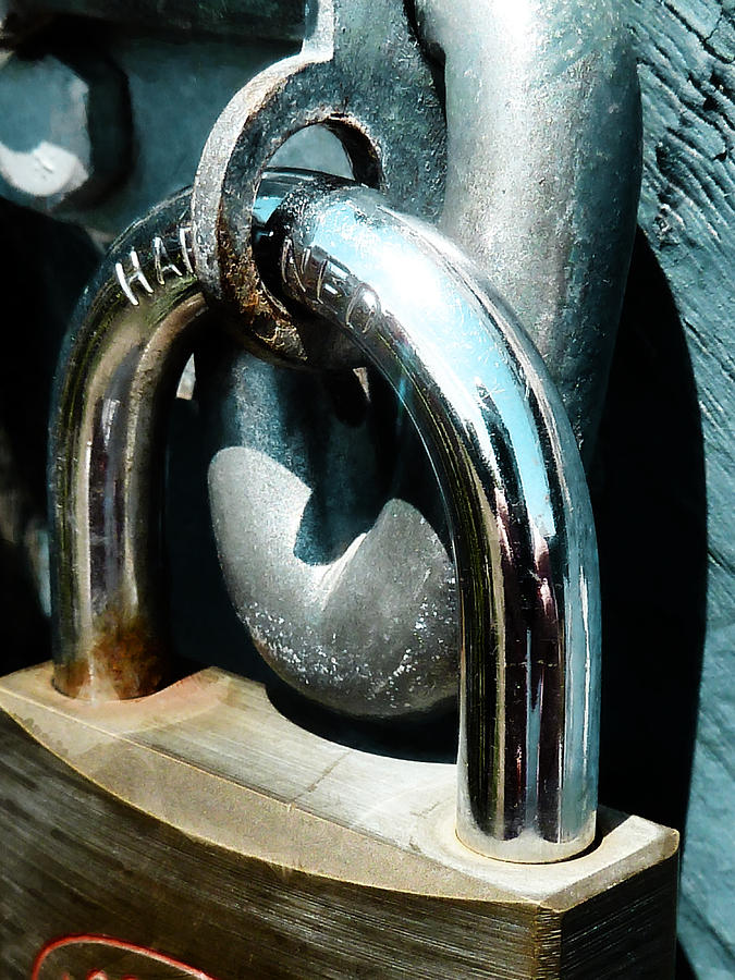 Hardened Photograph by Steve Taylor - Fine Art America