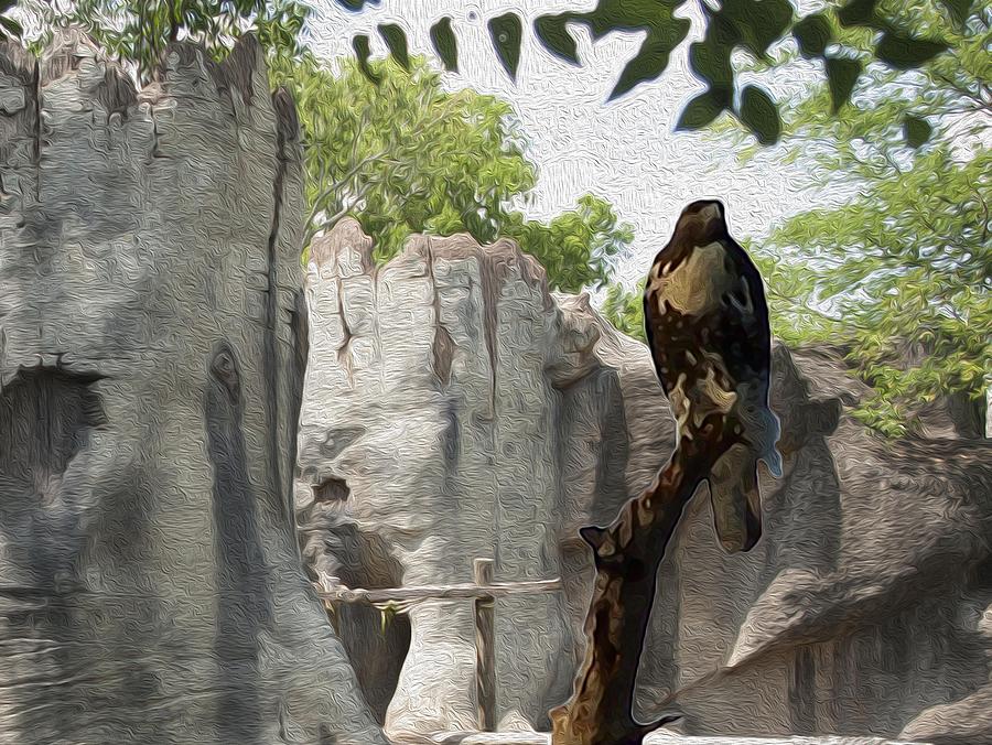 Hawk Perch Painting by Donnell Carr - Fine Art America