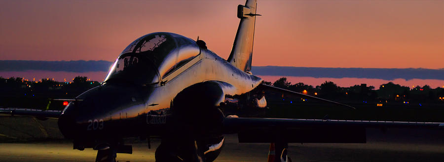 Hawk's Sunset Photograph by Robert Brown - Fine Art America