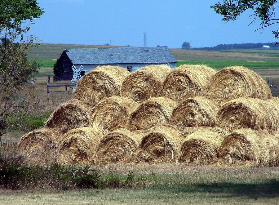 HAY Photograph by Dan Mitchell - Fine Art America