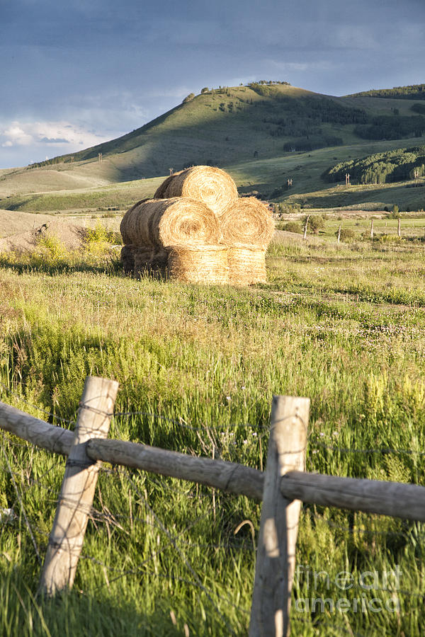 Hay Stack Photograph by Timothy Hacker - Fine Art America