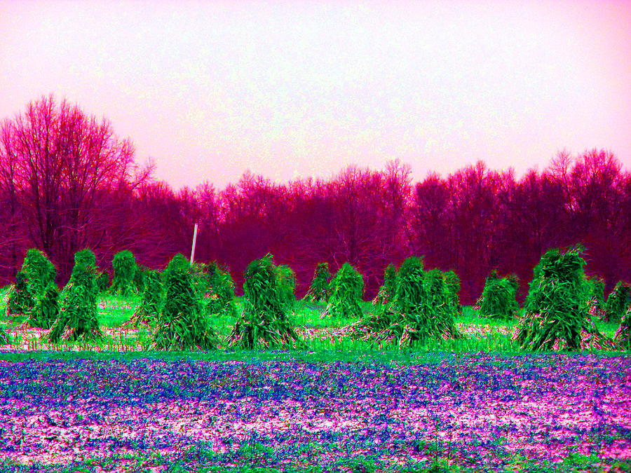 Hay Stack Winter Digital Art by Joseph Wiegand