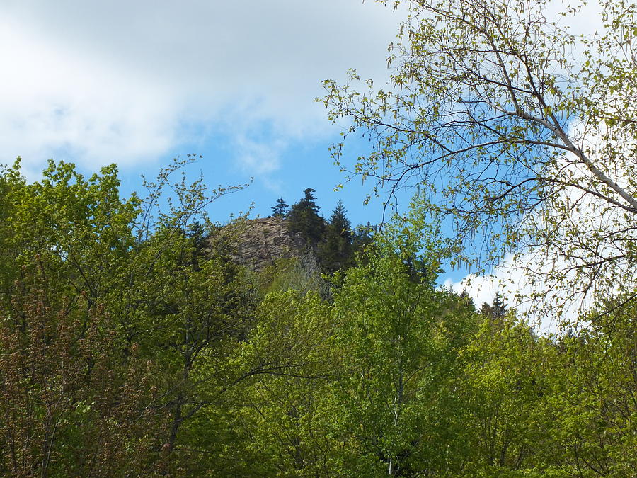 Haystack in Spring Photograph by Gene Cyr - Fine Art America